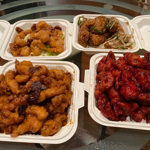 EVERGREEN PANDA - 349 Photos & 480 Reviews - Chinese - 3230 S White Rd ...