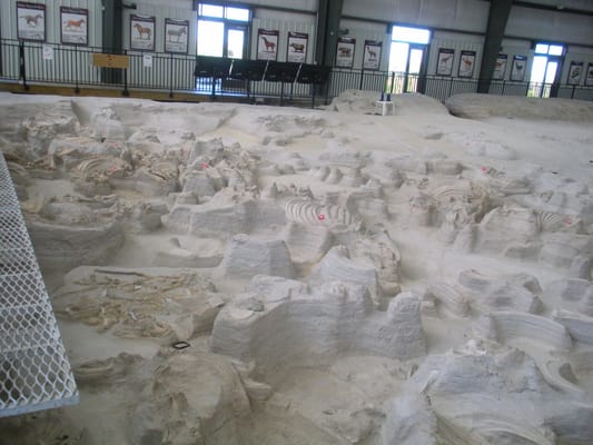 ASHFALL FOSSIL BEDS STATE HISTORICAL PARK - Updated August 2025 ...