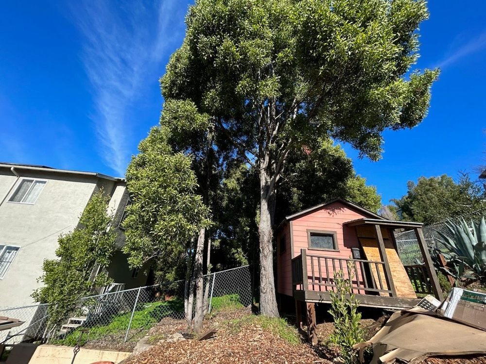 NEW LIFE TREE SERVICE - Updated October 2025 - 18 Reviews - 1720 Jones ...