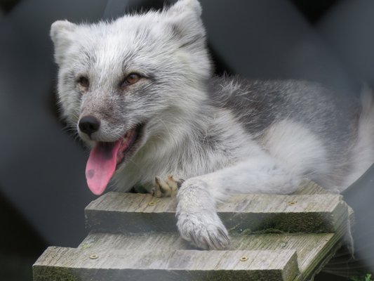 WOLF MOUNTAIN NATURE CENTER - Updated July 2024 - 27 Photos - 562 ...