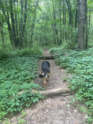 PROVIN TRAILS - Updated November 2025 - 29 Photos & 12 Reviews - 2900 4 ...