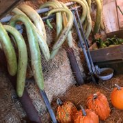 EMSLEY FARM - 2731 Northview Rd, Waukesha, WI - Yelp