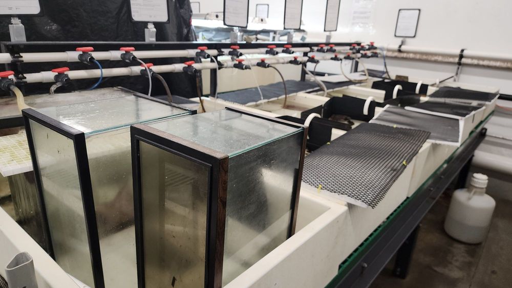 HUMBOLDT STATE UNIVERSITY MARINE LABORATORY - Updated July 2025 - 75 ...