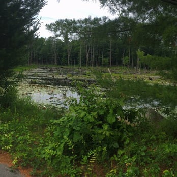 WINDHAM RAIL TRAIL - Updated October 2025 - 31 Photos & 19 Reviews - 6 ...