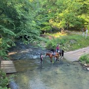 ANNE SPRINGS CLOSE GREENWAY - 214 Photos & 59 Reviews - 2573 Lake ...