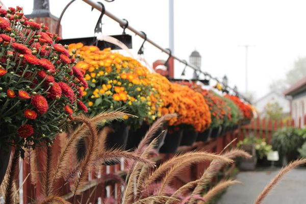 ASHCOMBE FARM AND GREENHOUSES - Updated December 2025 - 51 Photos & 31 ...