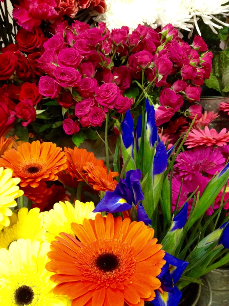 PETALS OF PUTNEY - Updated May 2024 - 80 Charles St, Putney New South ...