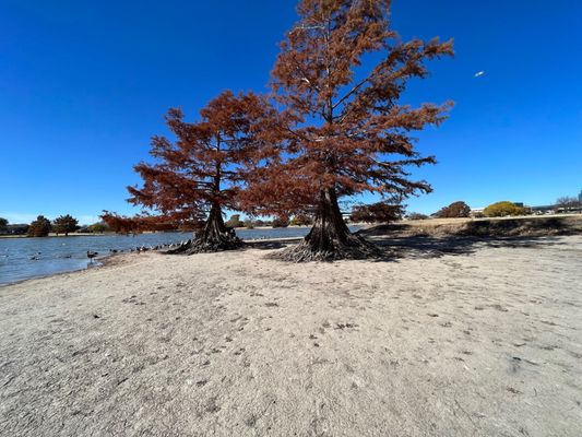 MAXEY PARK - Updated July 2024 - 2401 Quaker Ave, Lubbock, Texas ...