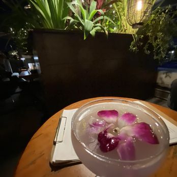 ASTRA - Updated July 2024 - 831 Photos & 730 Reviews - 2121 NW 2nd Ave ...