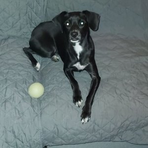 SAN FRANCISCO STABLES - Updated August 2024 - 18 Photos - 1114 Casad Rd ...