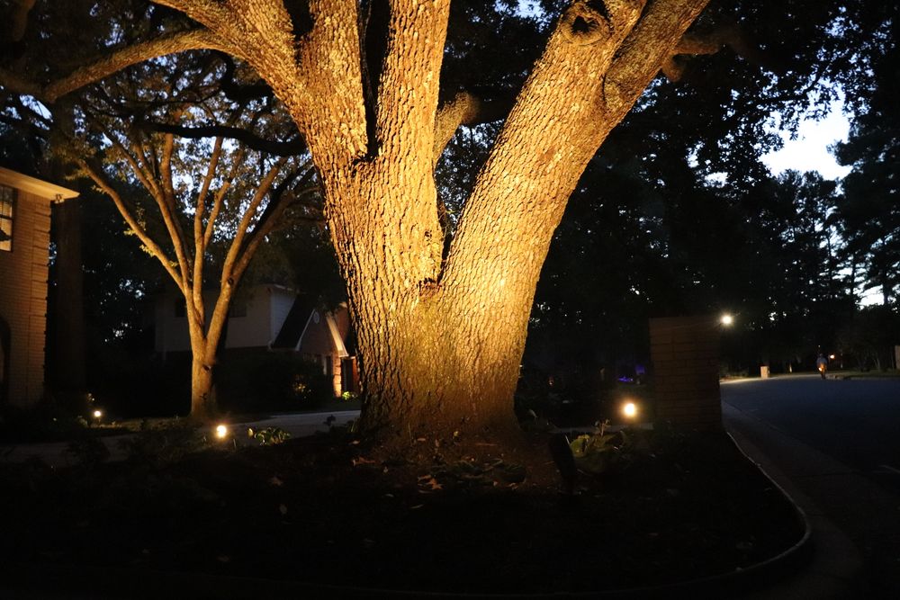 HAPPY GARDENS LANDSCAPE - Updated October 2024 - 18 Photos - Tyler ...