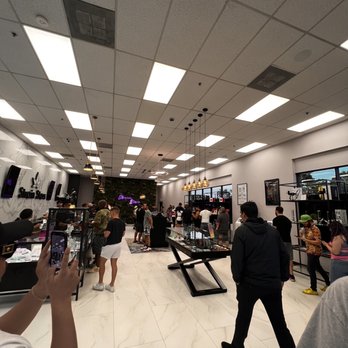 STRAIN STARS - Updated December 2025 - 44 Photos & 89 Reviews - 1815 ...