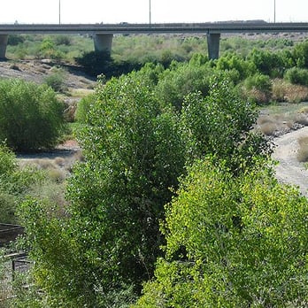 RIO SALADO HABITAT RESTORATION AREA - Updated August 2025 - 48 Photos ...