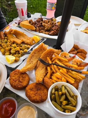 FISH FRENZY - Updated October 2025 - 14 Photos - 3109 University Ave ...