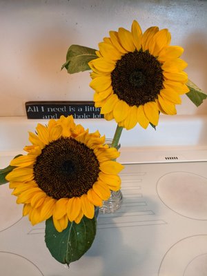 ISOM’S ORCHARD - Updated June 2025 - 44 Photos & 18 Reviews - 24012 US ...