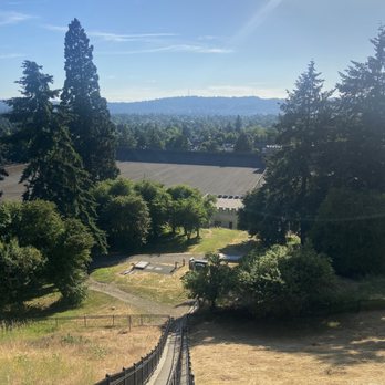 MOUNT TABOR PARK - Updated October 2025 - 797 Photos & 279 Reviews - SE ...