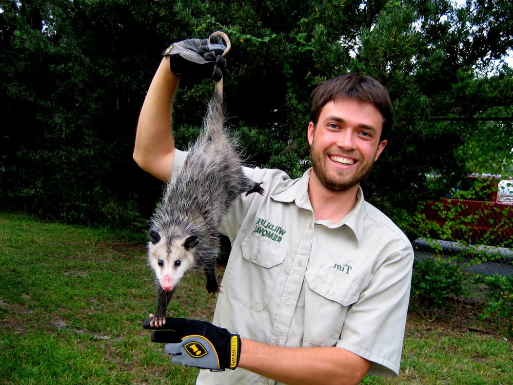 PEST ANIMAL REMOVAL WACO - Updated October 2024 - 18 Photos - Waco ...