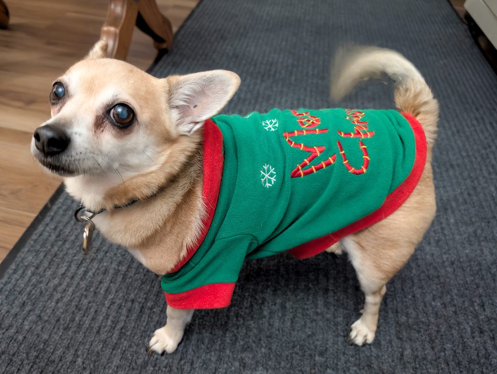 CENTURY MASSAGE - Updated October 2025 - 41 Photos & 80 Reviews - 16427 ...