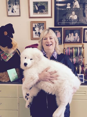 CHUCKANUT VALLEY VETERINARY CLINIC - Updated October 2025 - 12 Photos ...