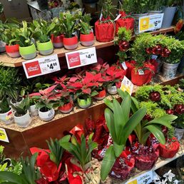 SHOPRITE OF PARAMUS - Updated September 2025 - 259 Photos & 65 Reviews ...