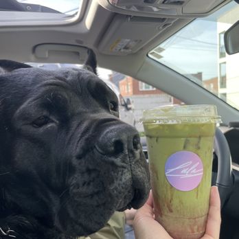 LULA COFFEE - Updated October 2024 - 116 Photos & 117 Reviews - 4451 ...