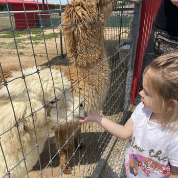 SHARKAROSA WILDLIFE RANCH - Updated January 2026 - 312 Photos & 136 ...