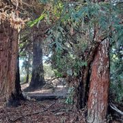 SHIPLEY NATURE CENTER - 293 Photos & 44 Reviews - 17851 Goldenwest St ...