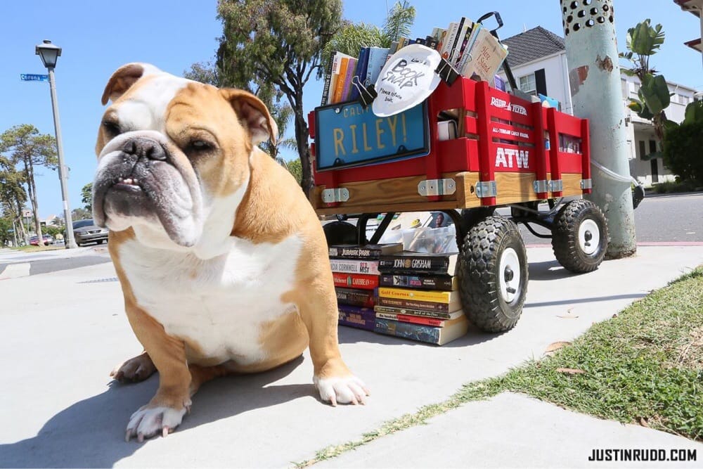 RILEY’S RED WAGON BOOK SWAP - Updated July 2025 - 12 Photos - 275 St ...
