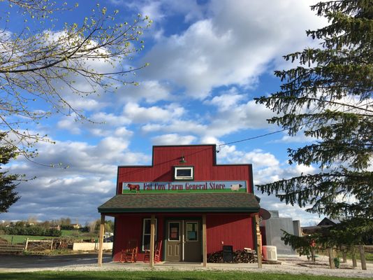 FAT COW FARM STORE - Updated July 2025 - 22 Photos - 800 Bingham Brook ...