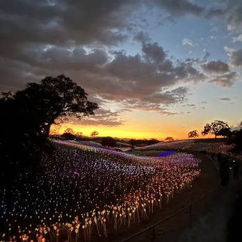 SENSORIO - Updated November 2024 - 2658 Photos & 560 Reviews - 4380 Hwy ...