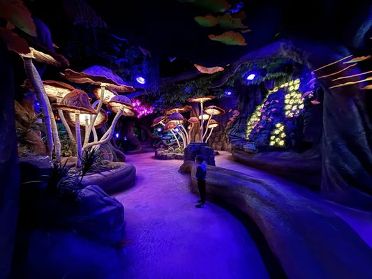 DREAMWALK PARK - Updated June 2025 - 71 Photos & 12 Reviews - 575 E ...