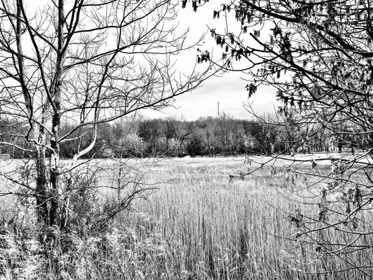 JOHN JAMES AUDUBON CENTER AT MILL GROVE - Updated March 2026 - 144 ...