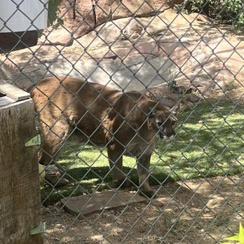 HERITAGE PARK ZOOLOGICAL SANCTUARY - Updated December 2025 - 147 Photos ...