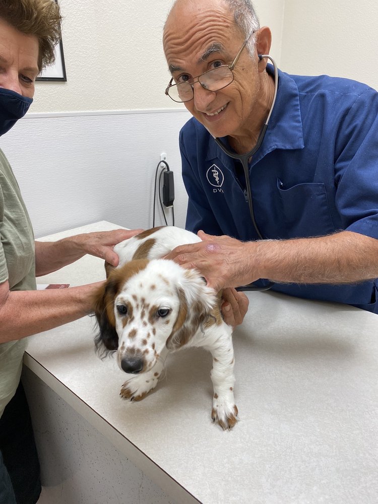 SHAHBAZIAN GARY DVM - Updated January 2026 - 16 Reviews - 7425 N Palm ...