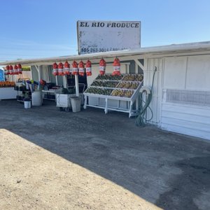 SATICOY BERRY FARMS - Updated April 2025 - 167 Lambert St, Oxnard ...