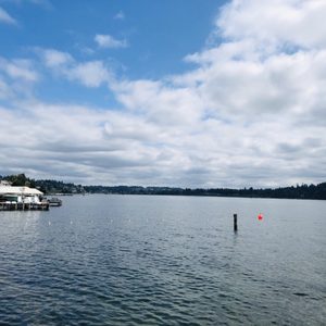 HELENE MADISON POOL - 14 Photos & 15 Reviews - Swimming Pools - 13401 ...