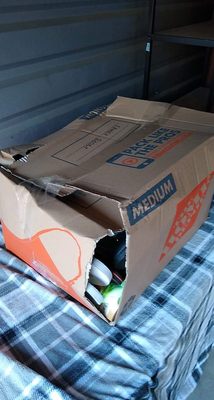 COLEMAN WORLDWIDE MOVING - Updated May 2026 - 57 Photos & 147 Reviews ...