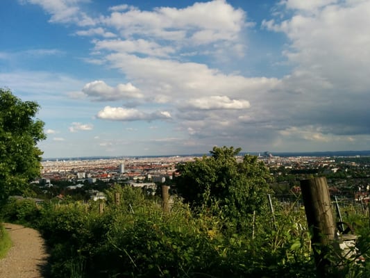 HEURIGER LEITNER - 18 Photos - Sprengersteig 68, Wien, Austria ...