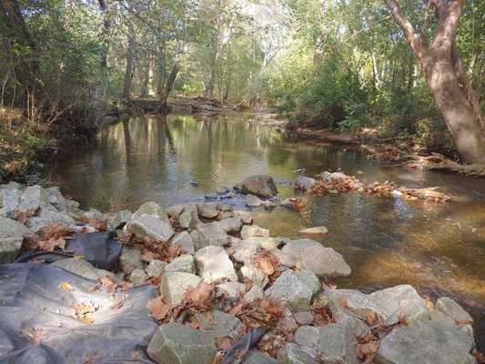 SUGARLAND RUN STREAM VALLEY TRAIL - 16 Photos & 15 Reviews - Town Of ...