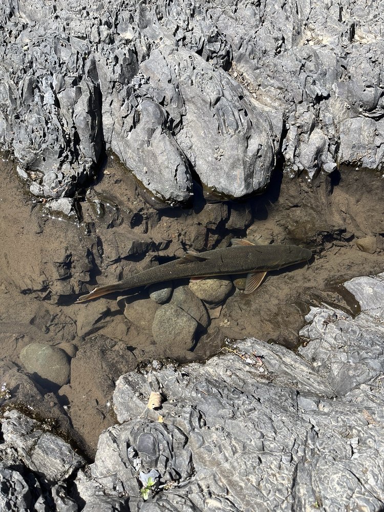 R-WILD HORSE RANCH - Updated July 2025 - 79 Photos & 23 Reviews - 6700 ...