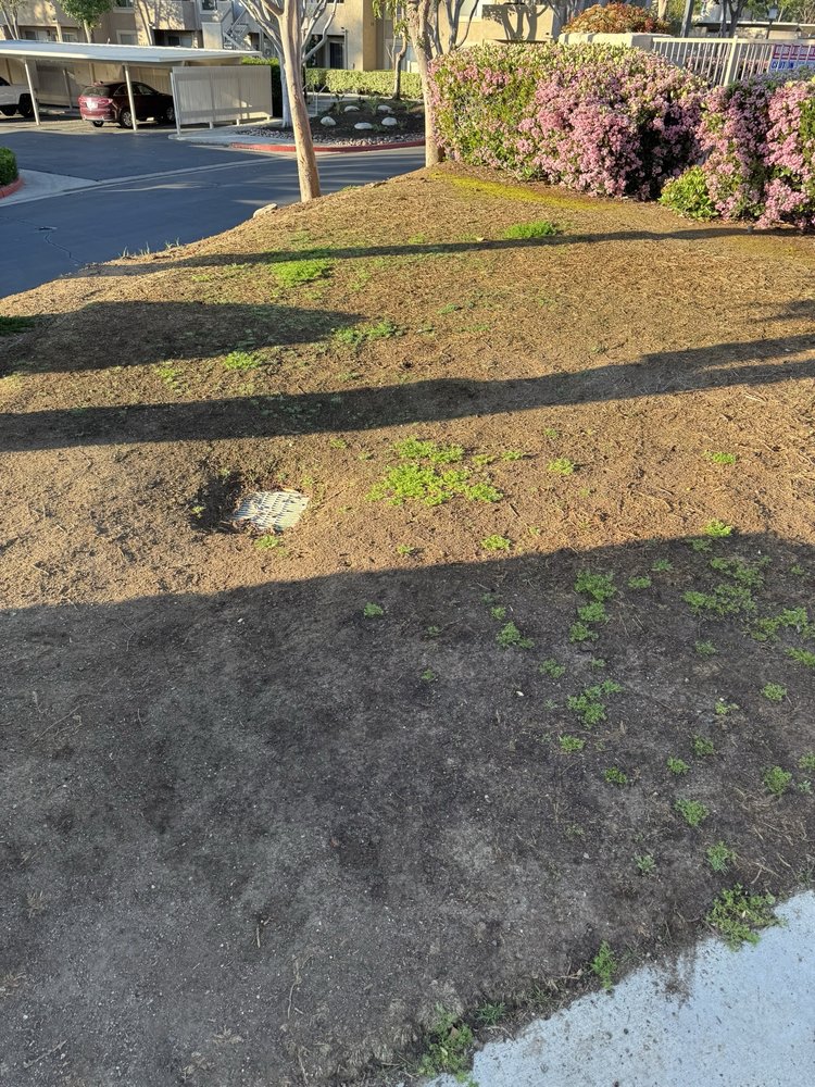 PACIFIC GREEN LANDSCAPE - Updated May 2026 - 36 Photos & 13 Reviews ...