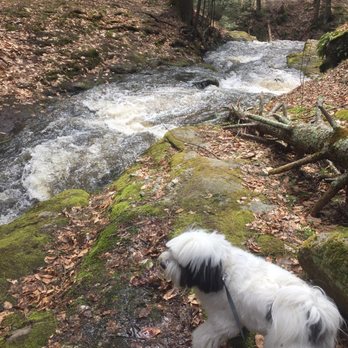 NONNEWAUG FALLS - Updated October 2025 - 24 Photos - Falls Rd ...