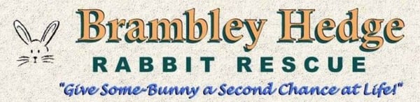 BRAMBLEY HEDGE RABBIT RESCUE - Updated December 2025 - 20 Photos & 15 ...