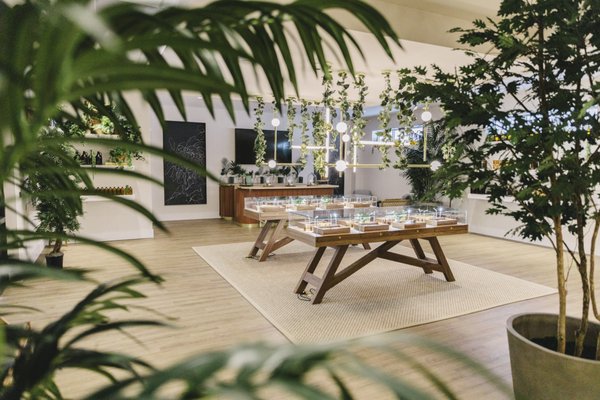 THE BOTANIST WORCESTER - Updated November 2025 - 18 Photos & 10 Reviews ...