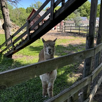 TOUGAS FAMILY FARM - Updated October 2024 - 368 Photos & 196 Reviews ...