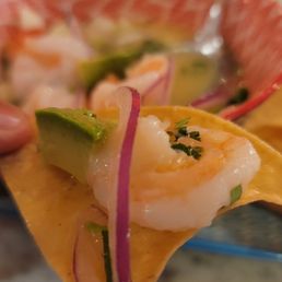 AZTECA SOUTH BEACH - Updated August 2025 - 155 Photos & 80 Reviews ...