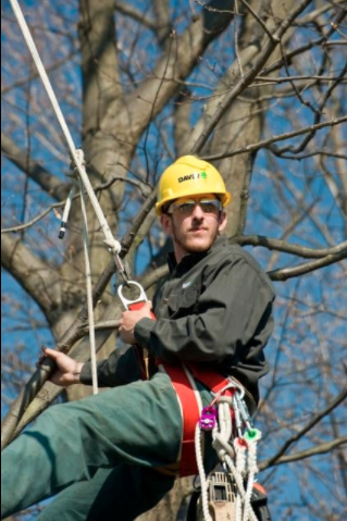 THE DAVEY TREE EXPERT COMPANY - Updated April 2026 - 19 Photos - 8622 S ...