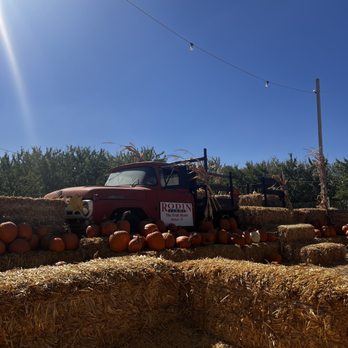 RODIN FARMS - Updated March 2025 - 140 Photos & 87 Reviews - 5000 ...