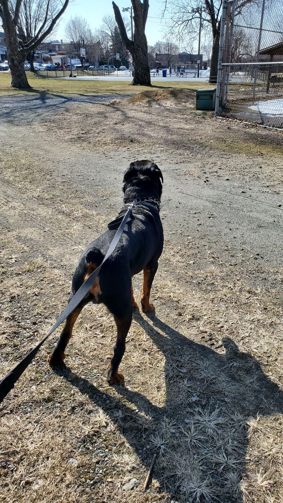 ANDRE REED PARK - Updated August 2024 - 701 N Irving St, Allentown ...