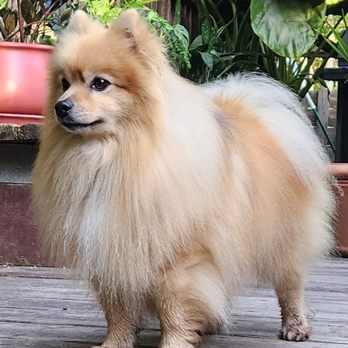 LOW COUNTRY ANIMAL RESCUE - Updated January 2026 - 14 Photos & 35 ...